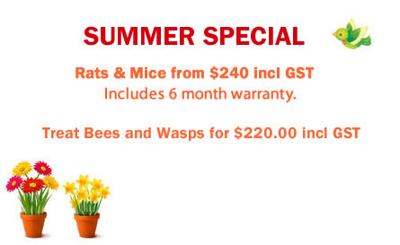 Specials - Pest Control Melbourne Northern & Western Suburbs
